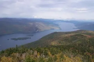 Lake George Plants, Fish, and Wildlife | Lake George Association